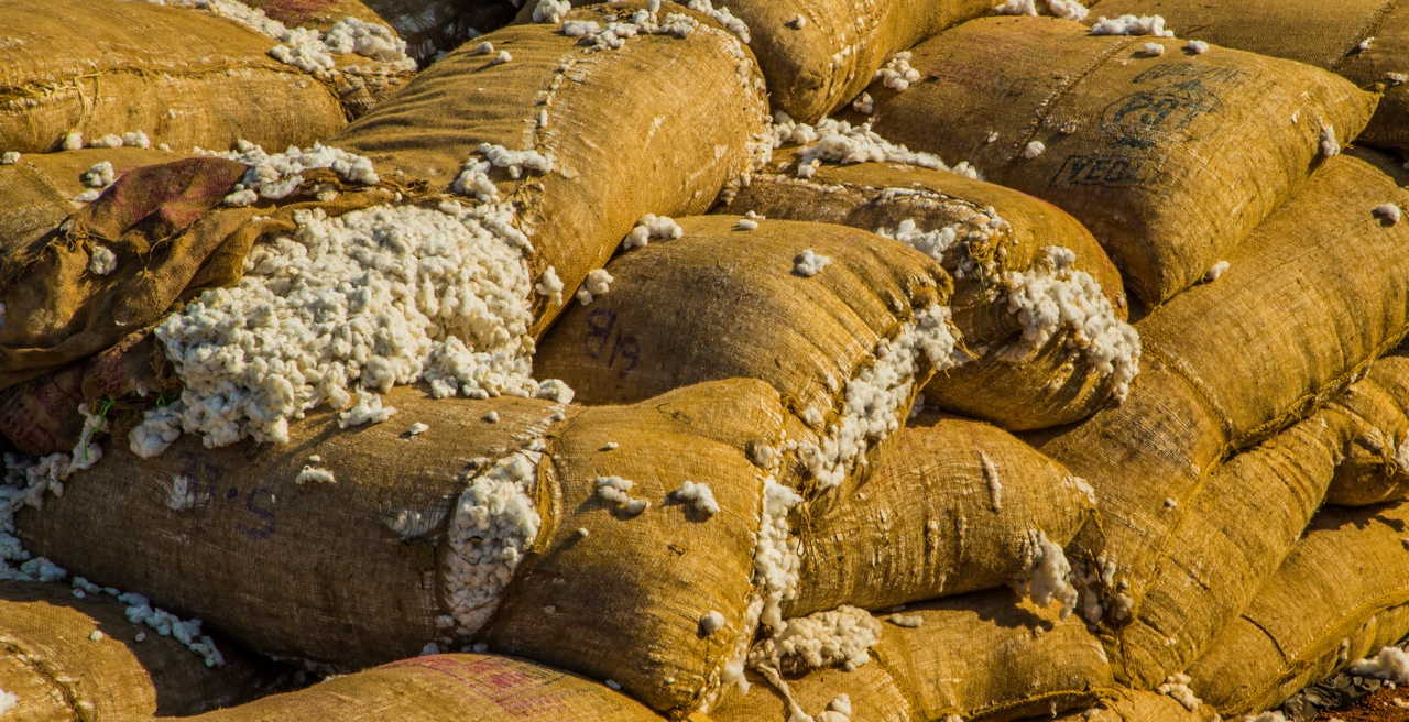 Sourcing sustainable cotton - what is organic cotton and where to find ...