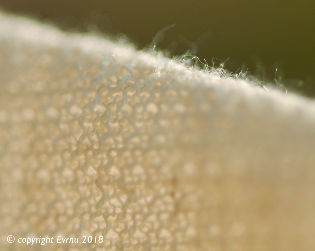 Evrnu - A Game Changer In Fabric Recycling | Common Objective